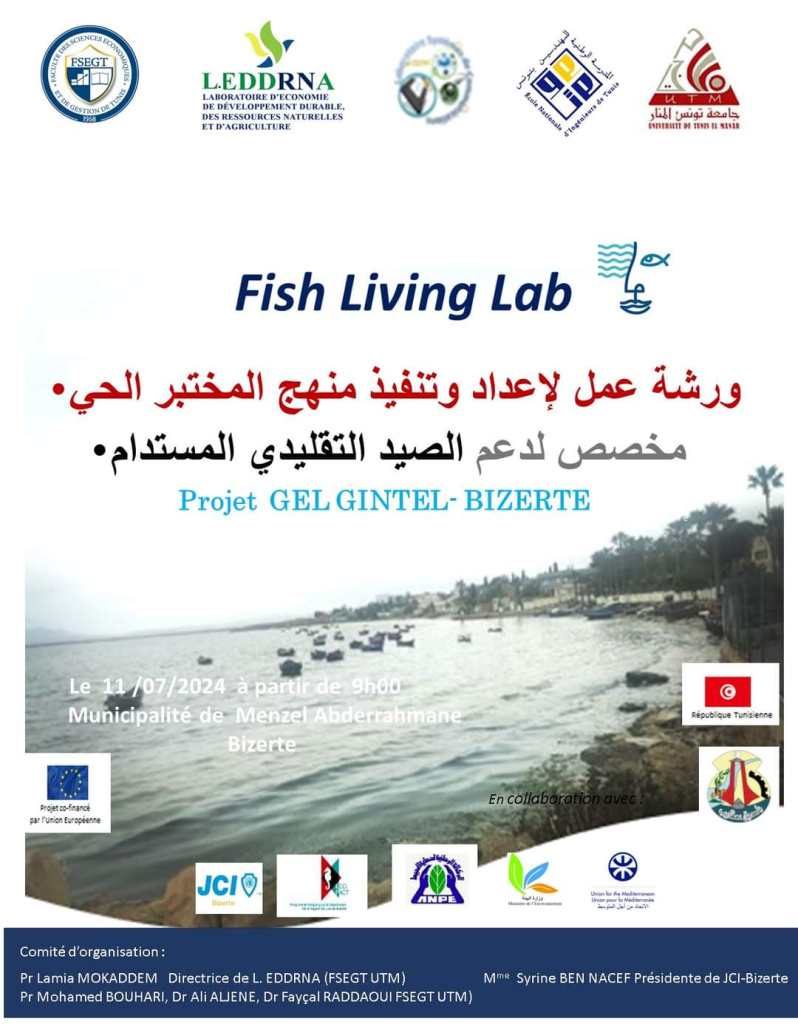 Accueil – ISET BEJA